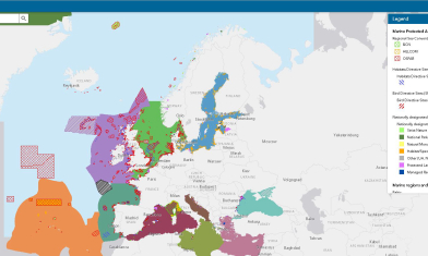 ArcGIS Web Application